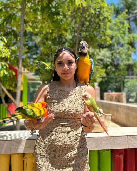 Doctor's Cave Beach, Canabis and Bird Farm Private Tour - Key Points