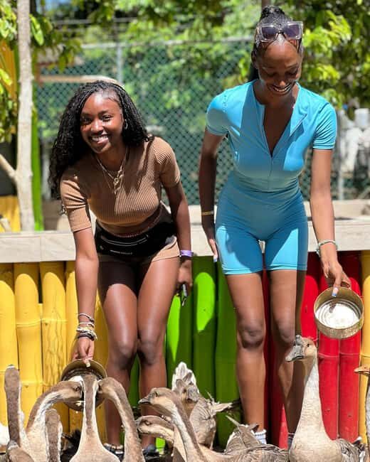 Doctor's Cave Beach, Canabis and Bird Farm Private Tour - Who Should Consider This Tour