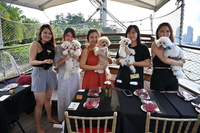 Dog Cruise onboard a Tall Ship with 4 Course Meal - The Sum Up: Who Should Consider This Experience?