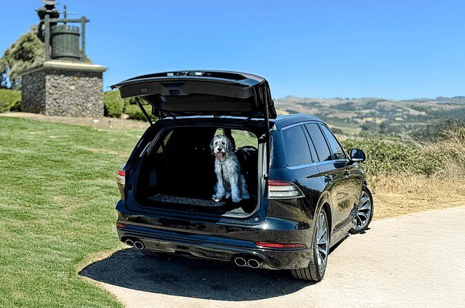 Dog Friendly Wine Tour in Private Luxury SUV - Why This Tour Is Worth Considering
