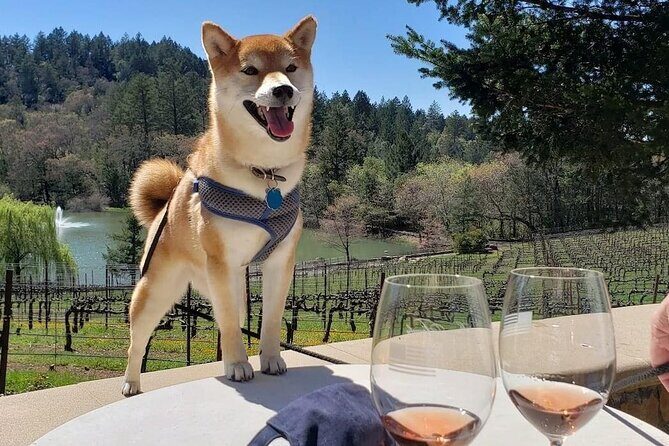Dog Friendly Wine Tour in Private Luxury SUV - FAQs