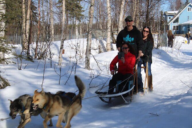 Dog Sledding Adventure in Willow, Alaska - Frequently Asked Questions