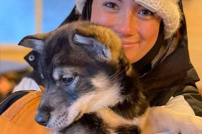 Dog Sledding and Animal Encounters Tour from Anchorage - The Sum Up
