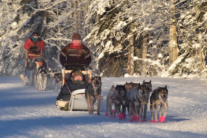 Dog Sledding and Mushing Experience in North Pole - An In-Depth Look at the Tour Itself