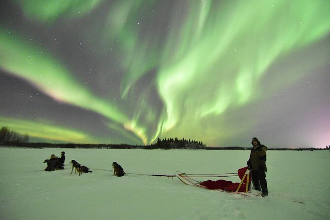 Dog Sledding and Mushing Experience in North Pole - Who Should Consider This Tour?