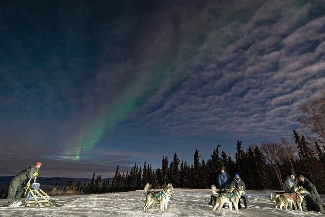 Dog Sledding and Northern Lights Combo Night - Introducing the Dog Sledding and Northern Lights Combo Night in Fairbanks