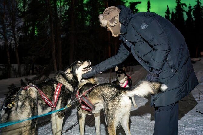 Dog Sledding and Northern Lights Combo Night - The Itinerary: What to Expect on Your Night of Adventure