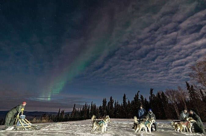 Dog Sledding and Northern Lights Combo Night - Authentic Experiential Value