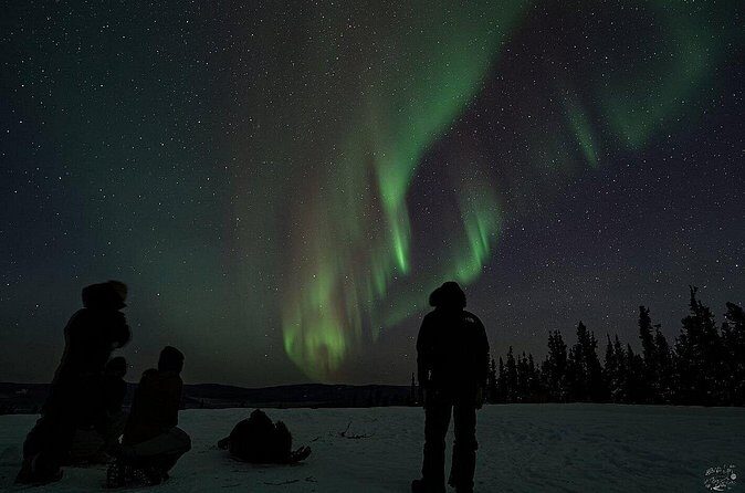 Dog Sledding and Northern Lights Combo Night - Final Thoughts