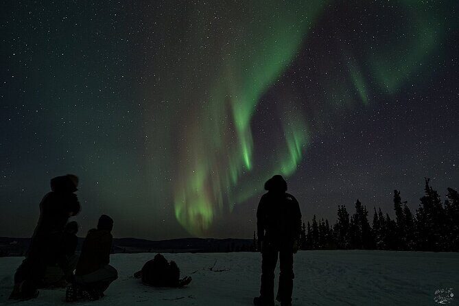 Dog Sledding and Northern Lights Combo Night - FAQs