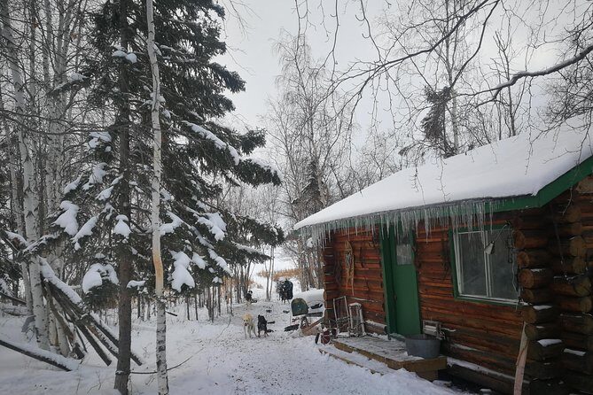 Dog Sledding - The Itinerary – What to Expect