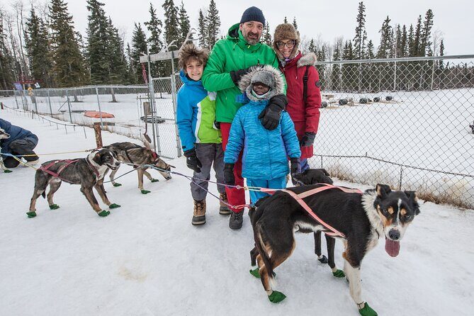 Dog Sledding - Subarctic Wilderness Tour - FAQ