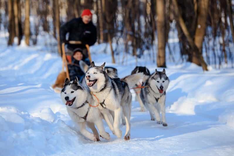 Dog Sledding , Terelj National park ,Chinggis Khaan statue - FAQ