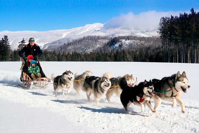 Dogsled Adventure in Mont-Tremblant - Authenticity and Reviews: What Participants Say
