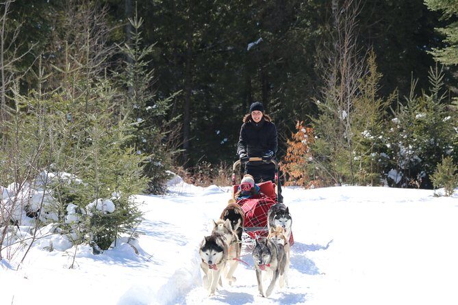 Dogsled Adventure in Mont-Tremblant - Who Should Consider This Tour?