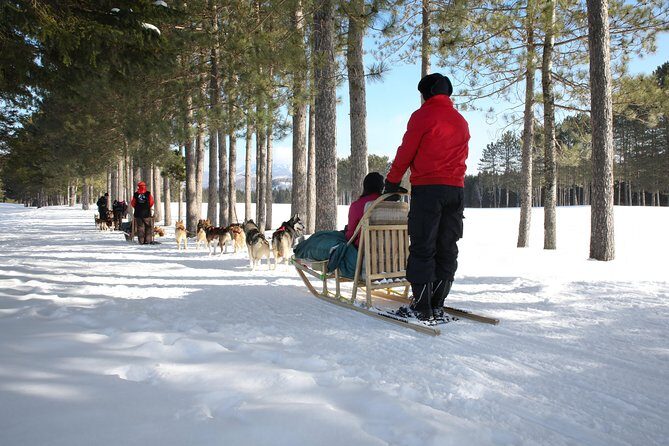 Dogsled Adventure in Mont-Tremblant - FAQ
