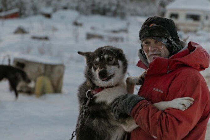 Dogsled Rides - The Sum Up: Who Will Love This Experience?