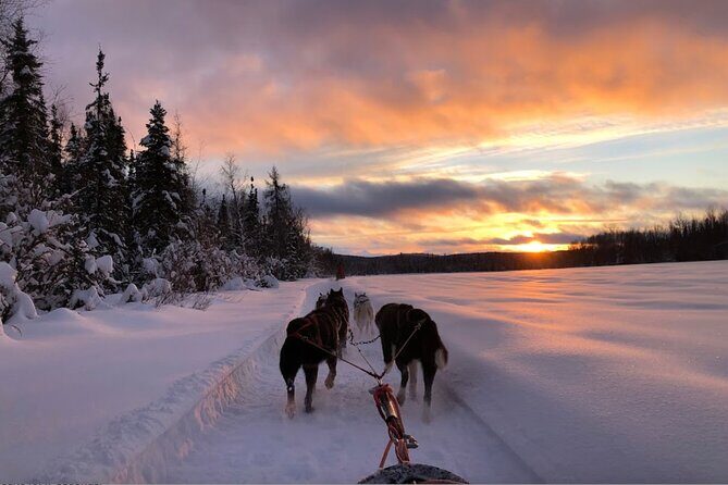 Dogsled Rides - FAQs