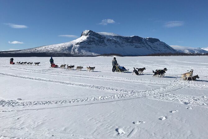 Dogsledding in the Heart of Alaska - Why This Adventure Is a Great Value