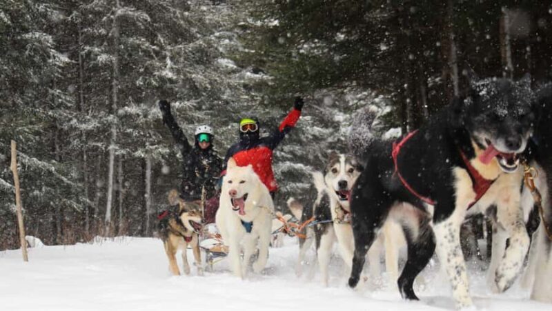 Dogsledding Nordic Adventure near Mont-Tremblant - The Guides: Knowledgeable and Friendly