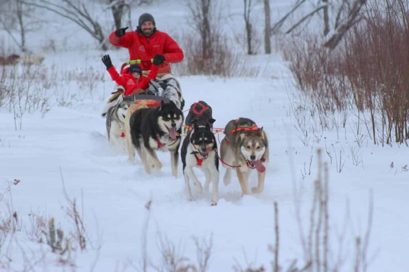 Dogsledding Valley Adventure near Mont-Tremblant - Authentic Details from Real Travelers