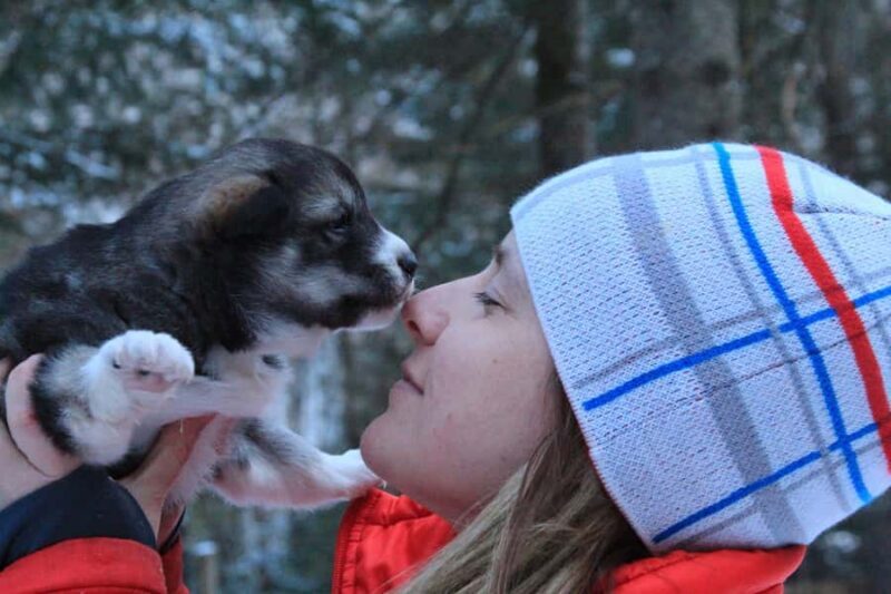 Dogsledding Valley Adventure near Mont-Tremblant - Who Should Consider This Tour?