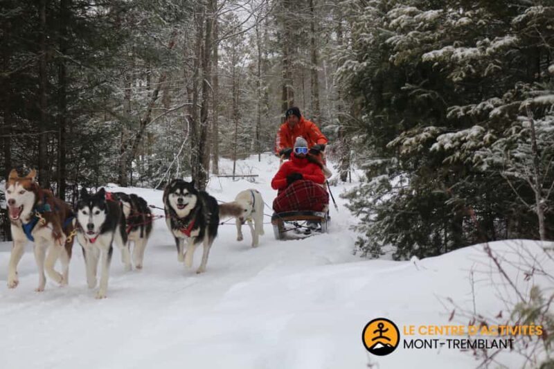 Dogsledding Valley Adventure near Mont-Tremblant - FAQ