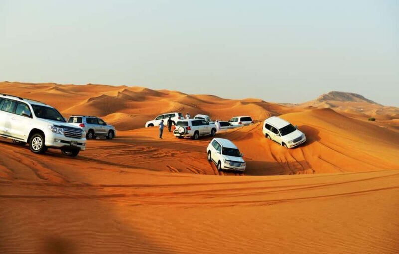Doha: Beaches visit with Dune Bashing and SandBoarding - What’s Included and What’s Not