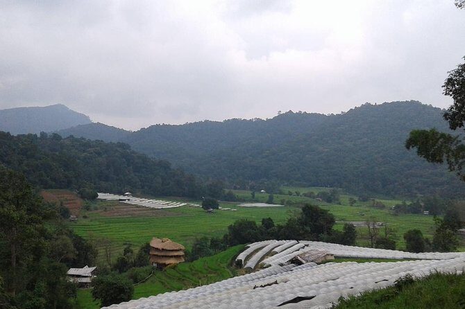 Doi Inthanon Day tour - Who Would Love This Tour?