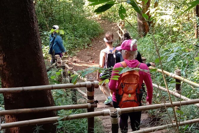 Doi Inthanon Day tour - The Sum Up: Is This the Tour for You?