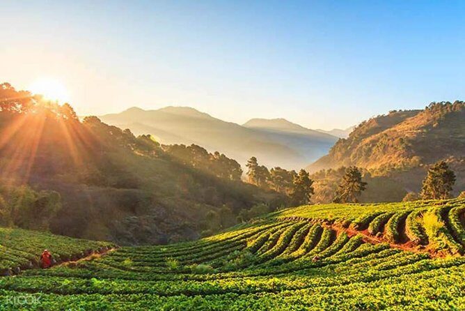 Doi Inthanon Day Trip from Chiang Mai including Karen Hill Tribe & Twin Pagodas - FAQ