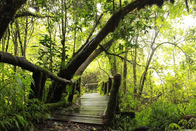 Doi Inthanon National park and 2 hours hiking with private tour - Authenticity and Guide Expertise