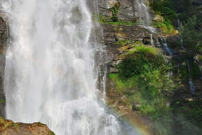 Doi Inthanon National Park and Hiking Kew Mae Pan Trail - Who Will Love This Tour?