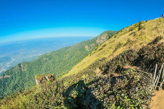 Doi Inthanon National Park and Kew Mae Pan Nature Trail Full Day Tour - The Sum Up
