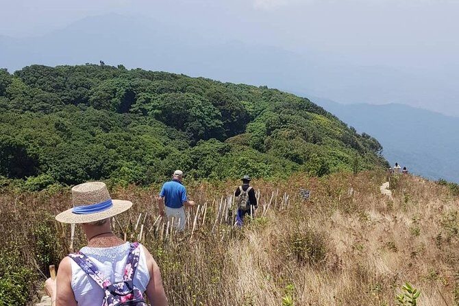 Doi Inthanon National Park Day Trip - Why Choose This Tour?