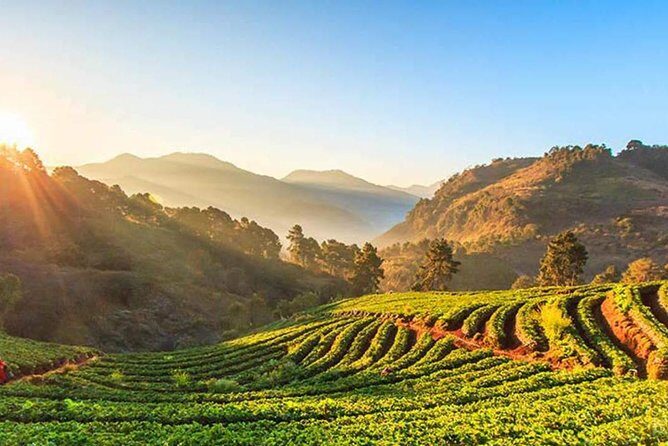 Doi Inthanon National Park Full Day Tour from Chiang Mai - An In-Depth Look at the Tour Experience