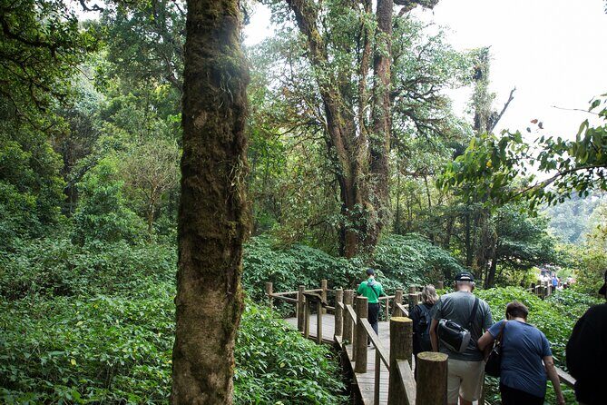 Doi Inthanon National Park Private Tour  Full Day - FAQs