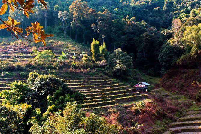 Doi Inthanon National Park, Waterfall & Royal Project Day Tour From Chiang Mai - Hill Tribe Village: Baan Mae Klang Luang