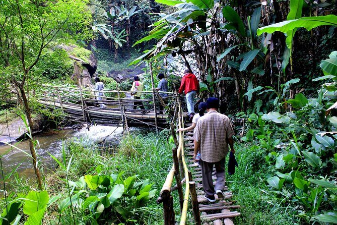 Doi Inthanon National Park, Waterfall & Royal Project Day Tour From Chiang Mai - The Sum Up: Is This Tour Right for You?