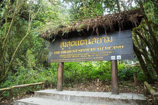 Doi Inthanon Summit Waterfalls and Hill Tribe Day Tour - Who Is This Tour Best For?