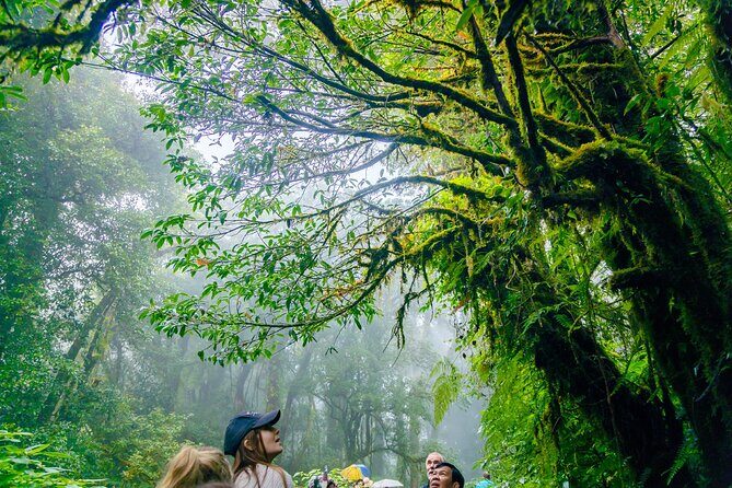 Doi Inthanon Waterfalls Rice Fields Tour from Chiang Mai - The Sum Up