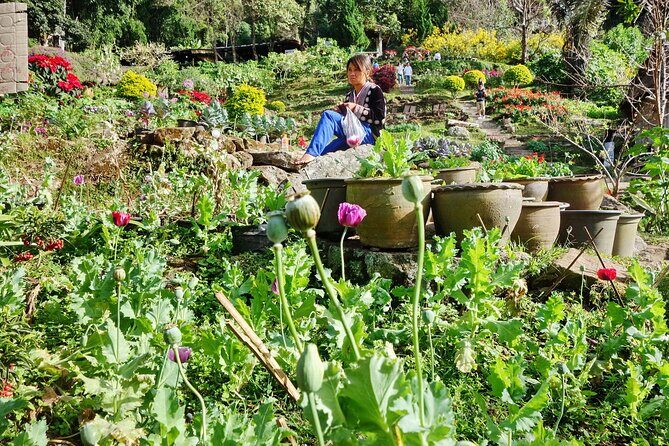 Doi Suthep and Hmong Hilltribe Half Day Tour in Chiang Mai - FAQs
