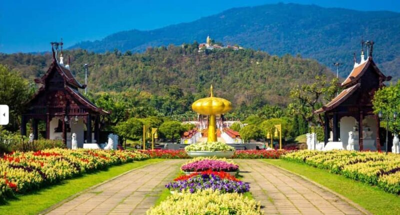 Doi Suthep & King Park in a Small Group - Key Points