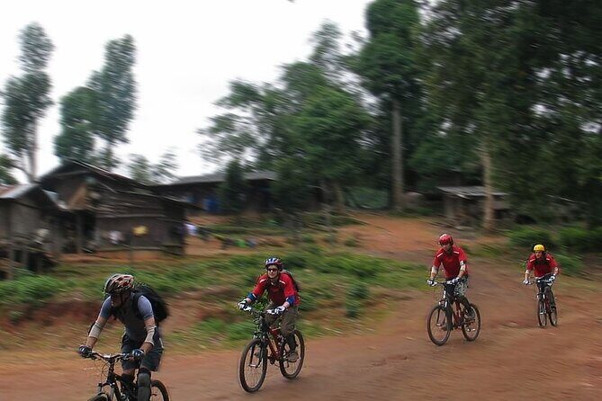 Doi Suthep National Park To Chiang Mai Beginner Downhill Mountain Biking - Final Thoughts: Is This Tour Right for You?