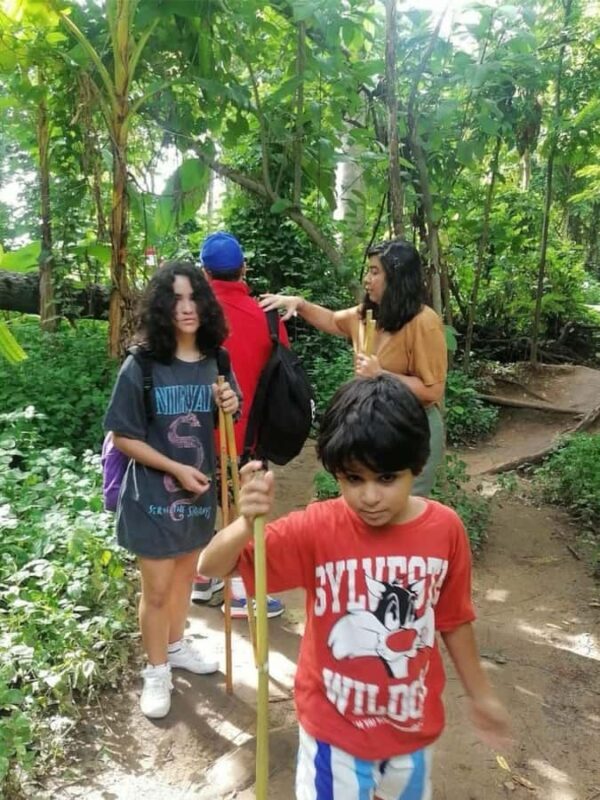 Doi Suthep Nature Interpretation Walk & Hidden Waterfalls - Key Points