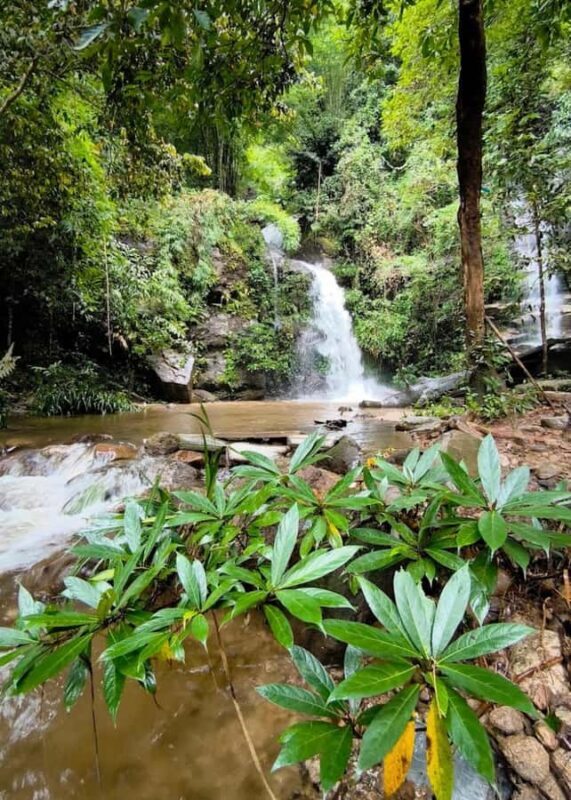Doi Suthep Nature Interpretation Walk & Hidden Waterfalls - Detailed Itinerary Breakdown
