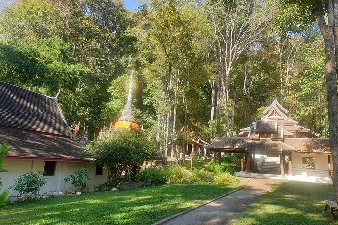 Doi Suthep Temple, Pha Lat Temple, Sticky Waterfall, Orchid farm - Key Points
