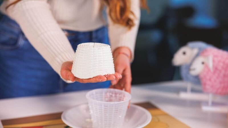 Dolianova: visit and workshop in a cheese factory - What You Can Expect from the Tour