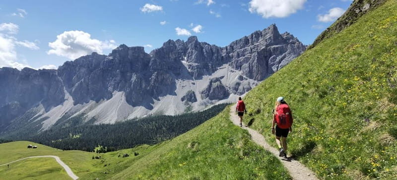 Dolomites of Bolzano: Hiking Experience with a local Guide - Final Thoughts: Who Will Love This Tour?