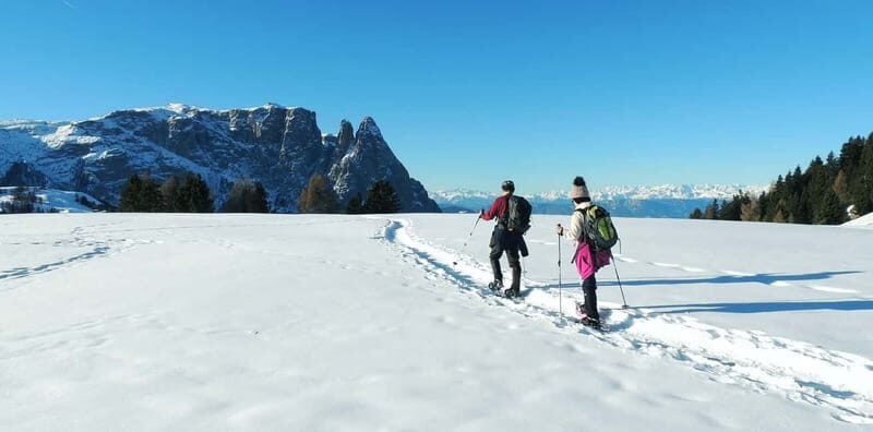 Dolomites of Bolzano: Winter Hiking & Sledding Experience - Key Points